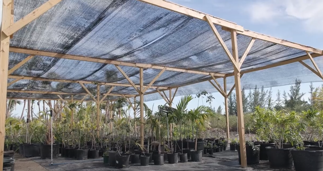 Royal Caribbean Group’s Commitment to Sustainability & Conservation ...